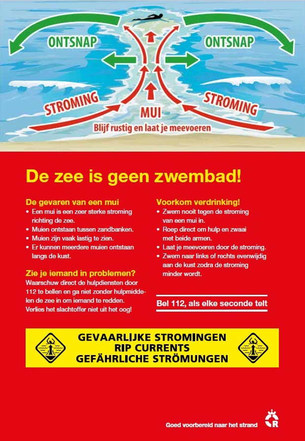 Gevaarlijke muien in zee: dit kun je doen als je in de problemen komt