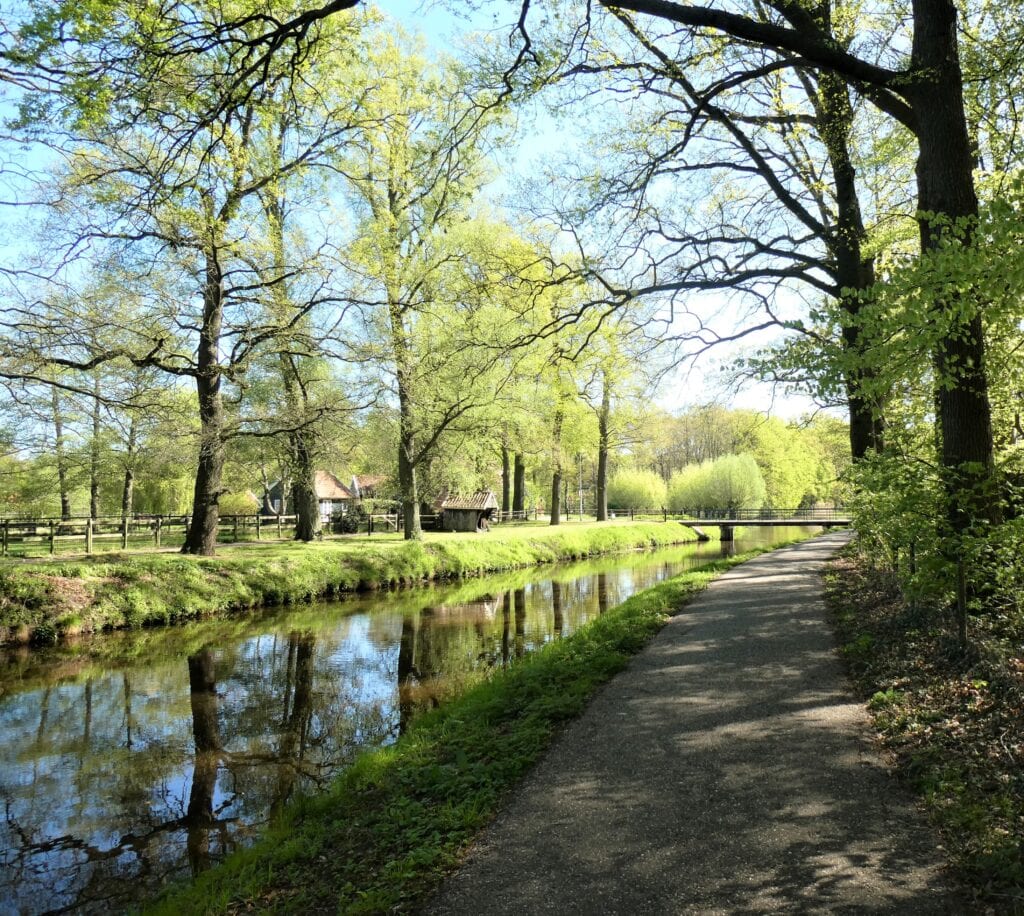 Winterjas of T-shirt? Dit is de weersverwachting voor maart - indebuurt ...