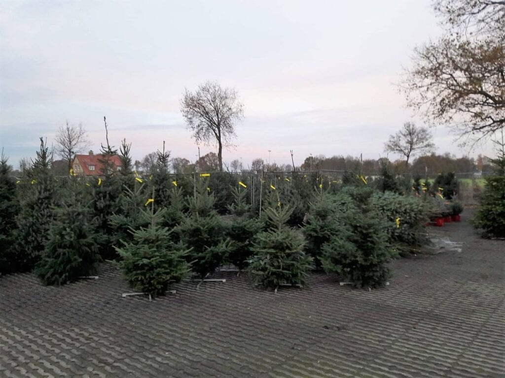 Elferink kerstbomen - indebuurt Almelo