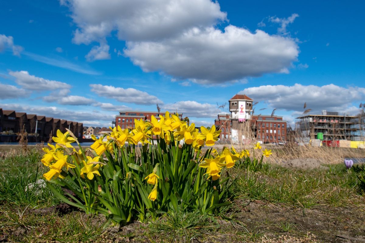 Komt de lente al? Dit is de weersverwachting voor maart voor Almelo ...