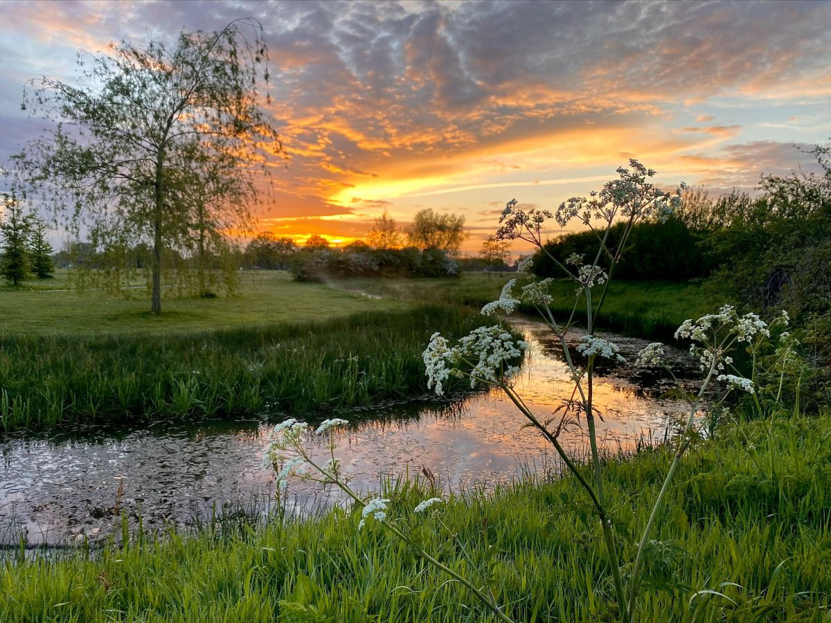 Prachtige plaatjes! 9 x de natuur in Almelo door hobbyfotograaf Chantal ...