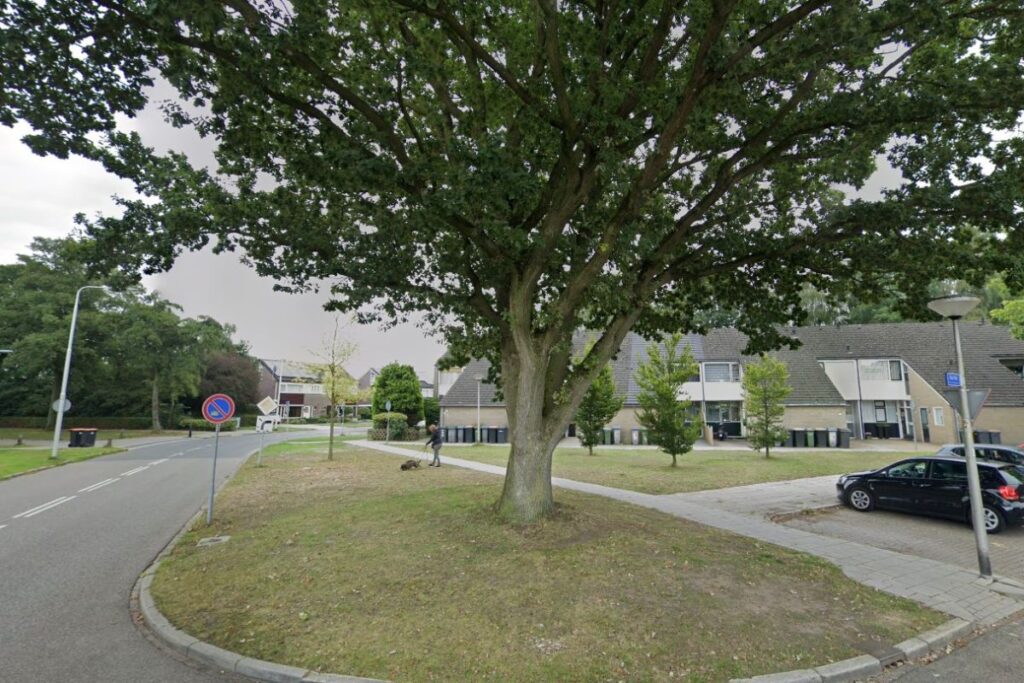 Mysterie opgelost: Almelo heeft een bloemkoolwijk (en dit houdt het in)