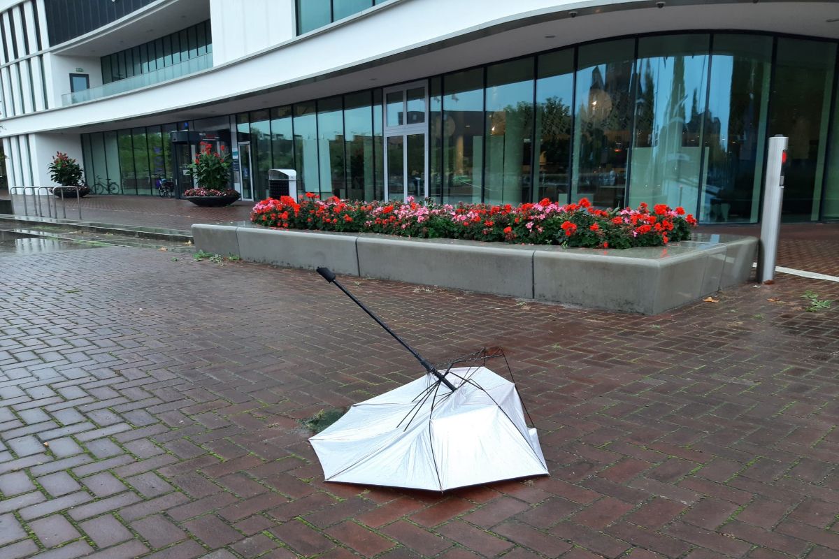 Herfst begint goed! Dit wordt het weer in Almelo in oktober