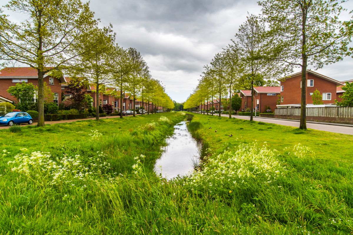 Mysterie opgelost: Nijrees in Almelo is een vinexwijk en dit houdt het in