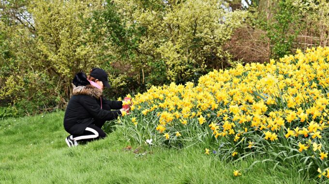 Dit is de weersverwachting voor Hemelvaartsdag in Almelo