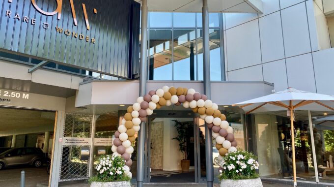 Kringloop Rataplan verkoopt nu ook planten voor een prikkie: 'Niet aan ...