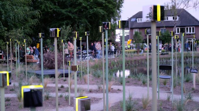 Kringloop Rataplan verkoopt nu ook planten voor een prikkie: 'Niet aan ...