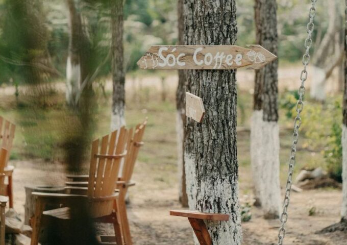 Kringloop Rataplan verkoopt nu ook planten voor een prikkie: 'Niet aan ...