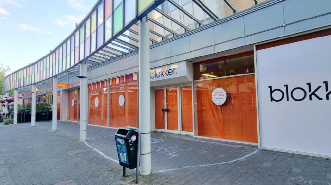 Kringloop Rataplan verkoopt nu ook planten voor een prikkie: 'Niet aan ...