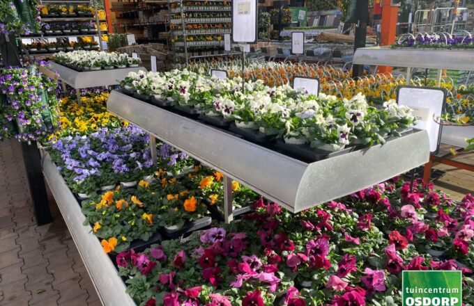 Intratuin Amsterdam - indebuurt Amsterdam