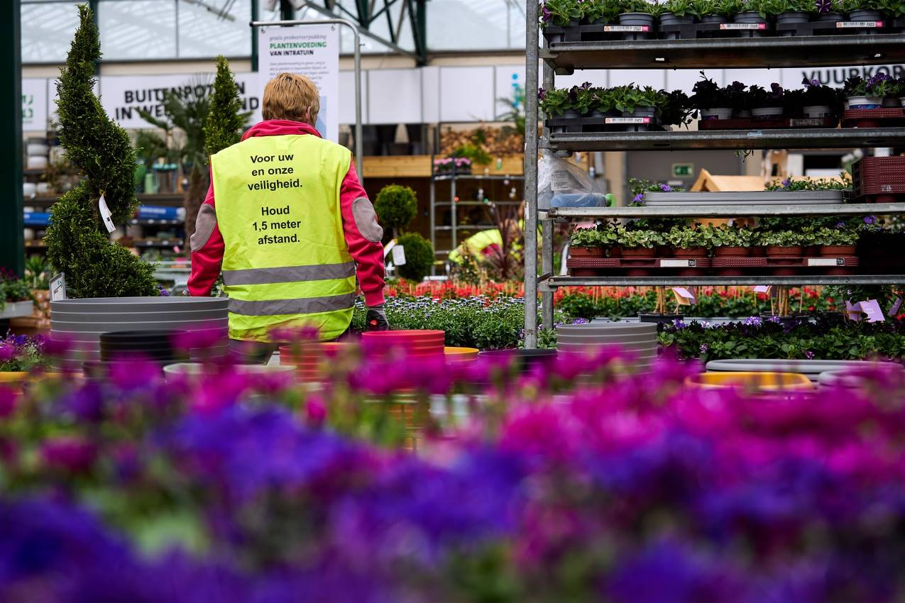4 x bij dit tuincentrum in Amsterdam scoor je mooie planten en bloemen - indebuurt Amsterdam