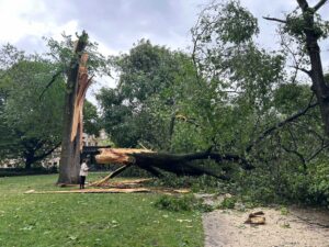 Amsterdam in puin door storm Poly: zo ligt de stad er nu bij (foto's)