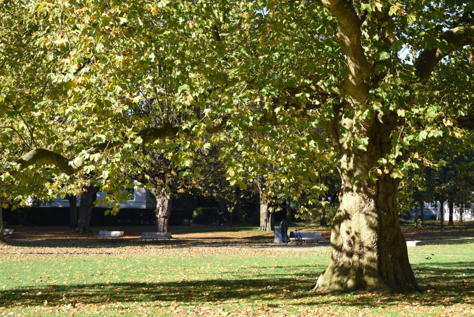 Dit is de weersverwachting voor september in Amsterdam - indebuurt ...