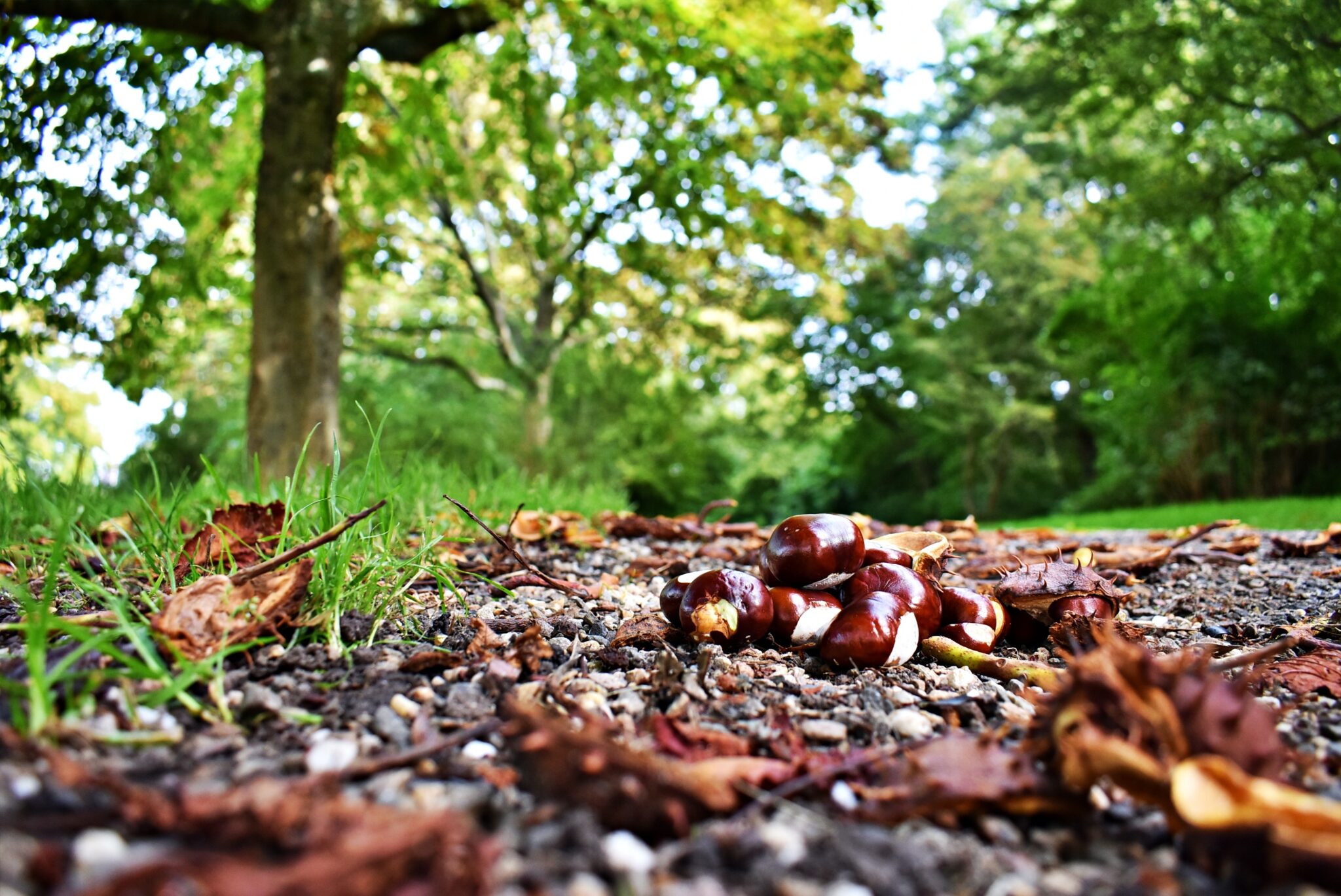 Dit is de weersverwachting voor de herfstvakantie in Amsterdam ...