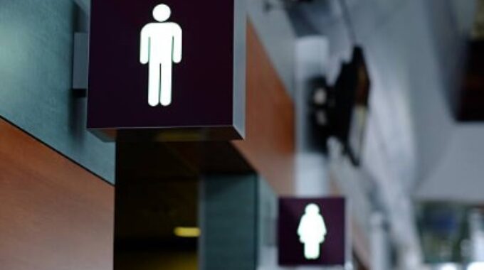 Markt in Amsterdam: dit is waar je op welke dag moet zijn