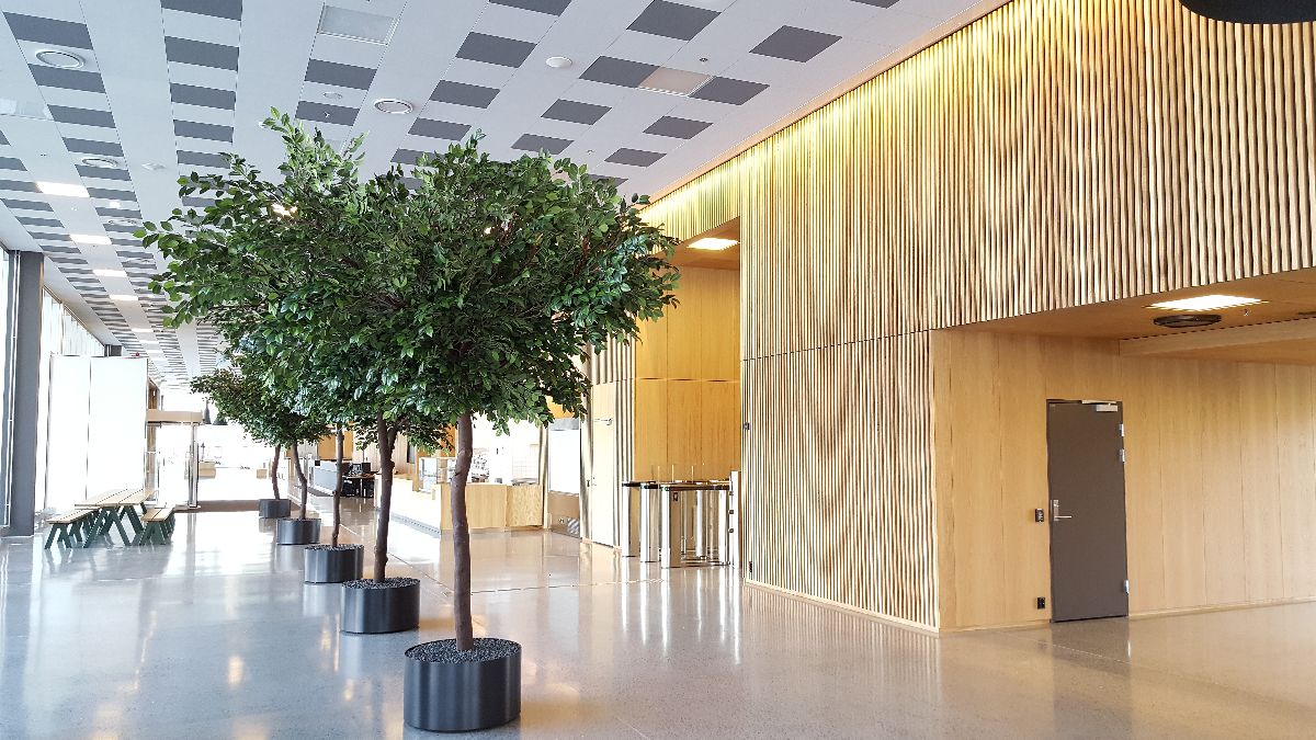 Mummieplanten zijn echt en ze worden gemaakt in Apeldoorn - indebuurt ...