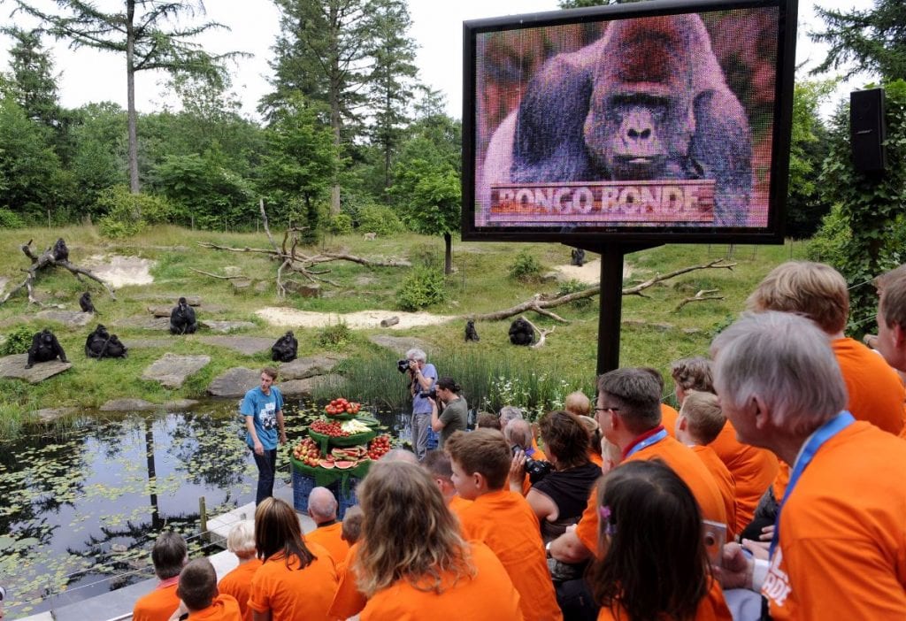 Bizar! Deze 5 wereldrecords zijn gevestigd in Apeldoorn - indebuurt ...
