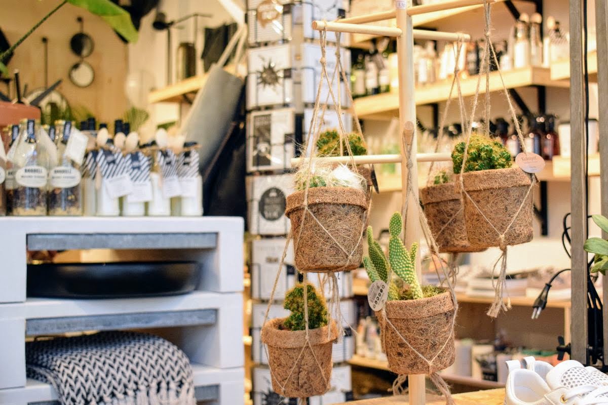 Nieuw in Apeldoorn: Pand Store is open! - indebuurt Apeldoorn