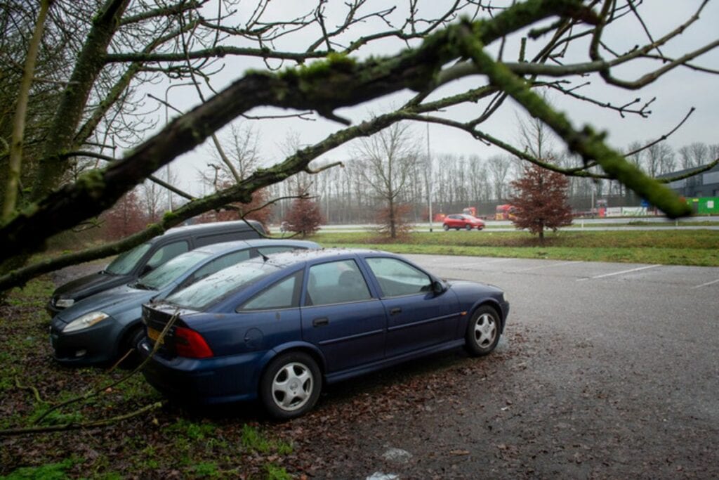 Mysterie: wat is er loos met deze beschimmelde auto op de carpoolplaats ...