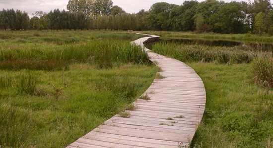 Uittip: Klompenpaden rondom Apeldoorn - indebuurt Apeldoorn