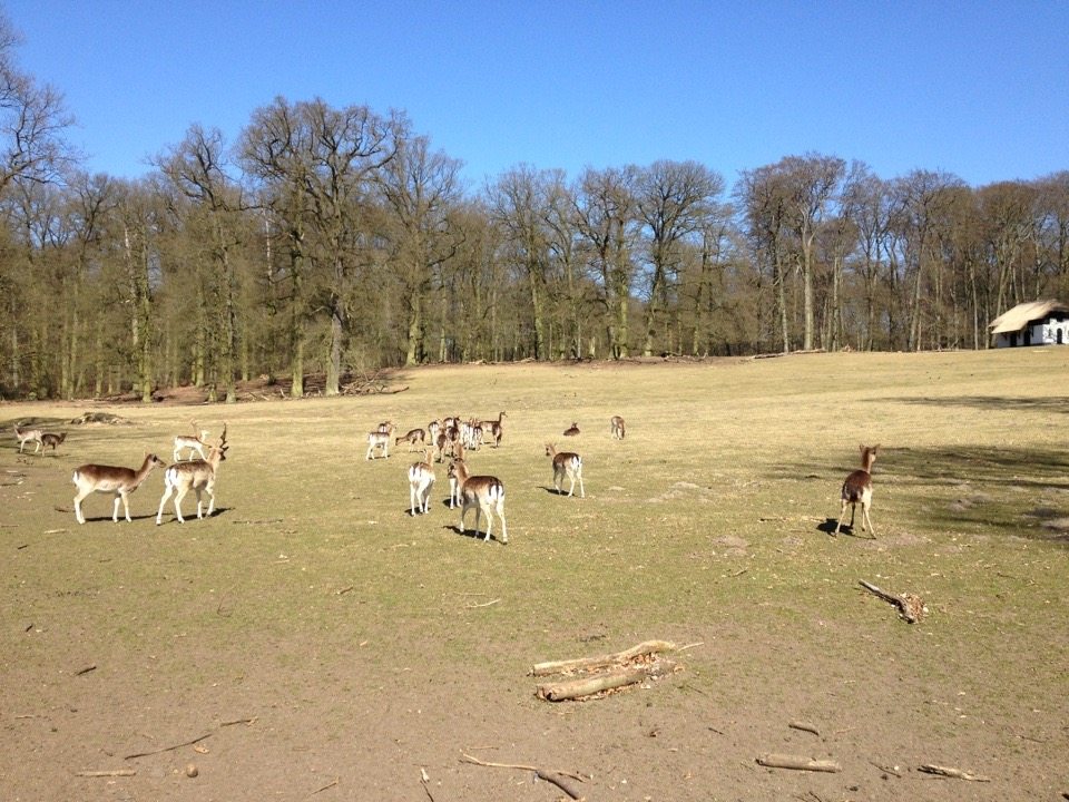 Sonsbeek park: genieten van de fijnste plekken in het groen