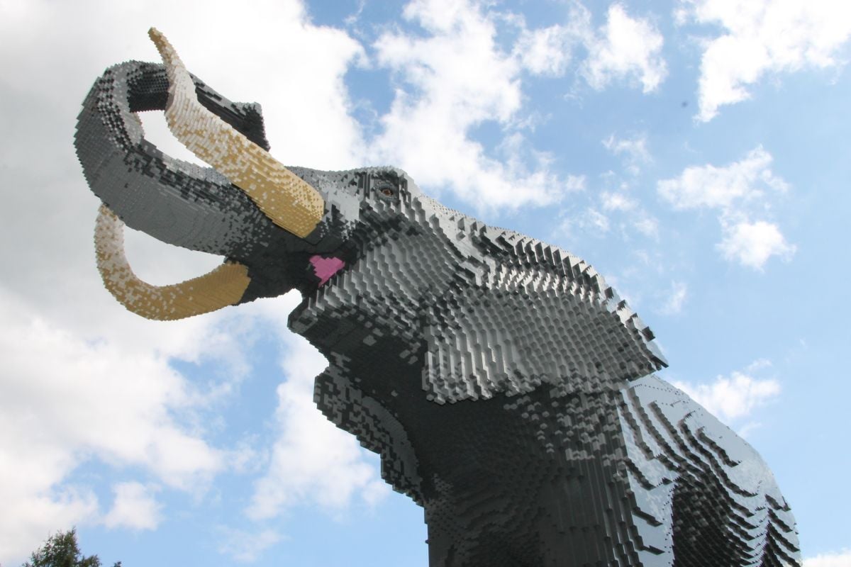 LEGO Bricks in the Zoo: zo ziet dat eruit! (foto's) - indebuurt Arnhem