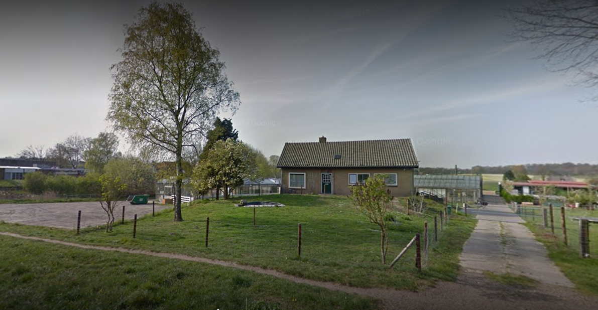 Kunstwerk voor Halloween: hier koop jij jouw pompoen! - indebuurt Arnhem