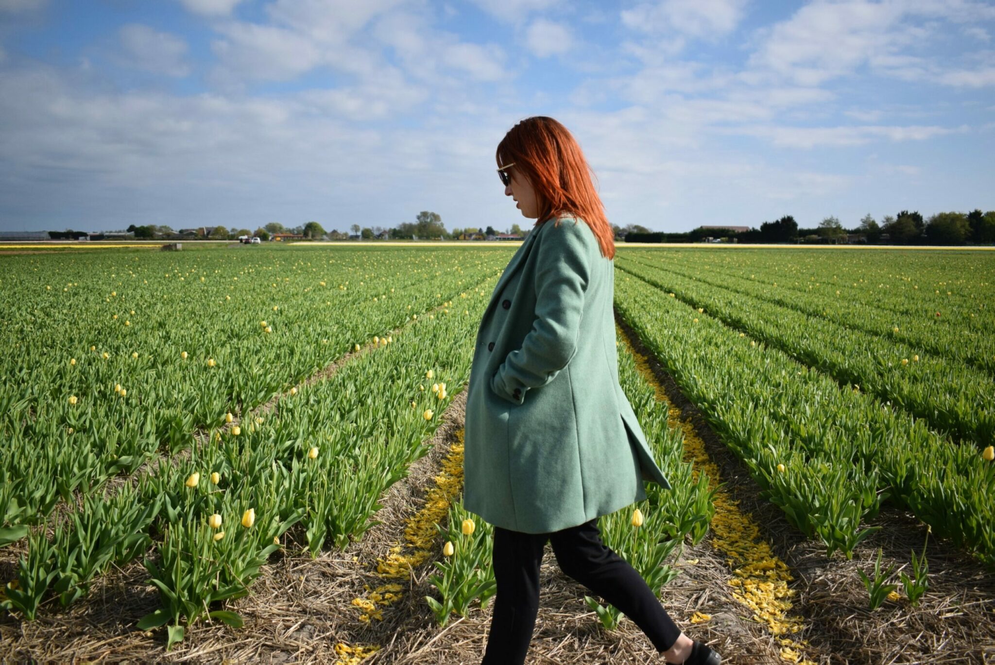 HAN Sport en Bewegen (Hogeschool van Arnhem en Nijmegen) - indebuurt Arnhem