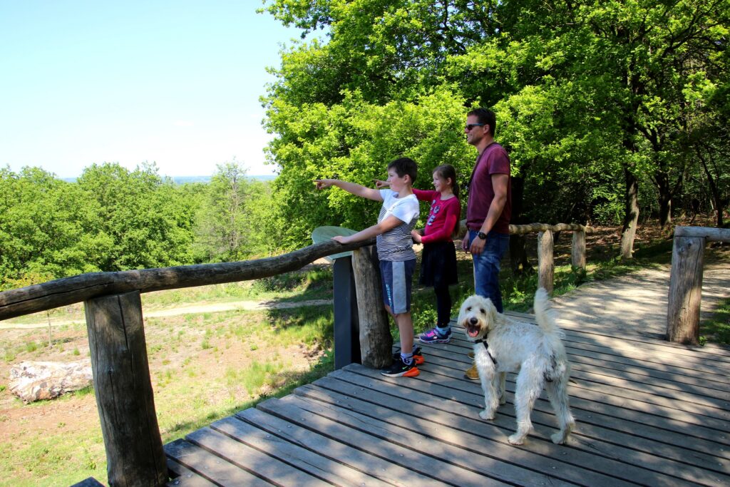 7 x waarom je dit heuvelachtige bosgebied in de buurt van Arnhem wil ...