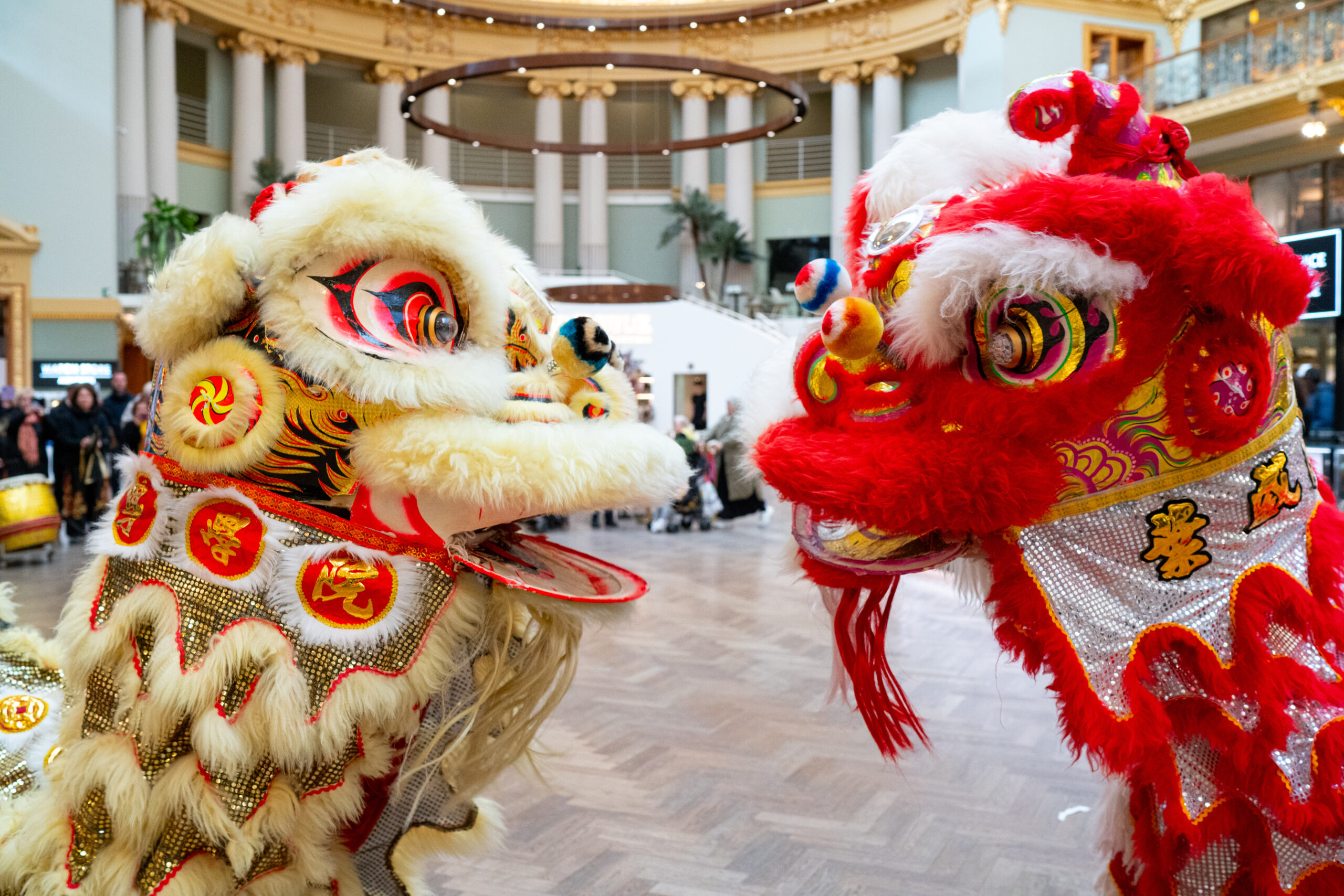 Vier Chinees Nieuwjaar in Arnhem: deze acties en events wil je niet missen