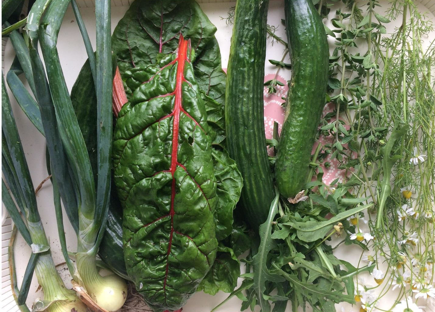 Het mooiste plekje van Bergen op Zoom volgens Gertrude van der Linden ...