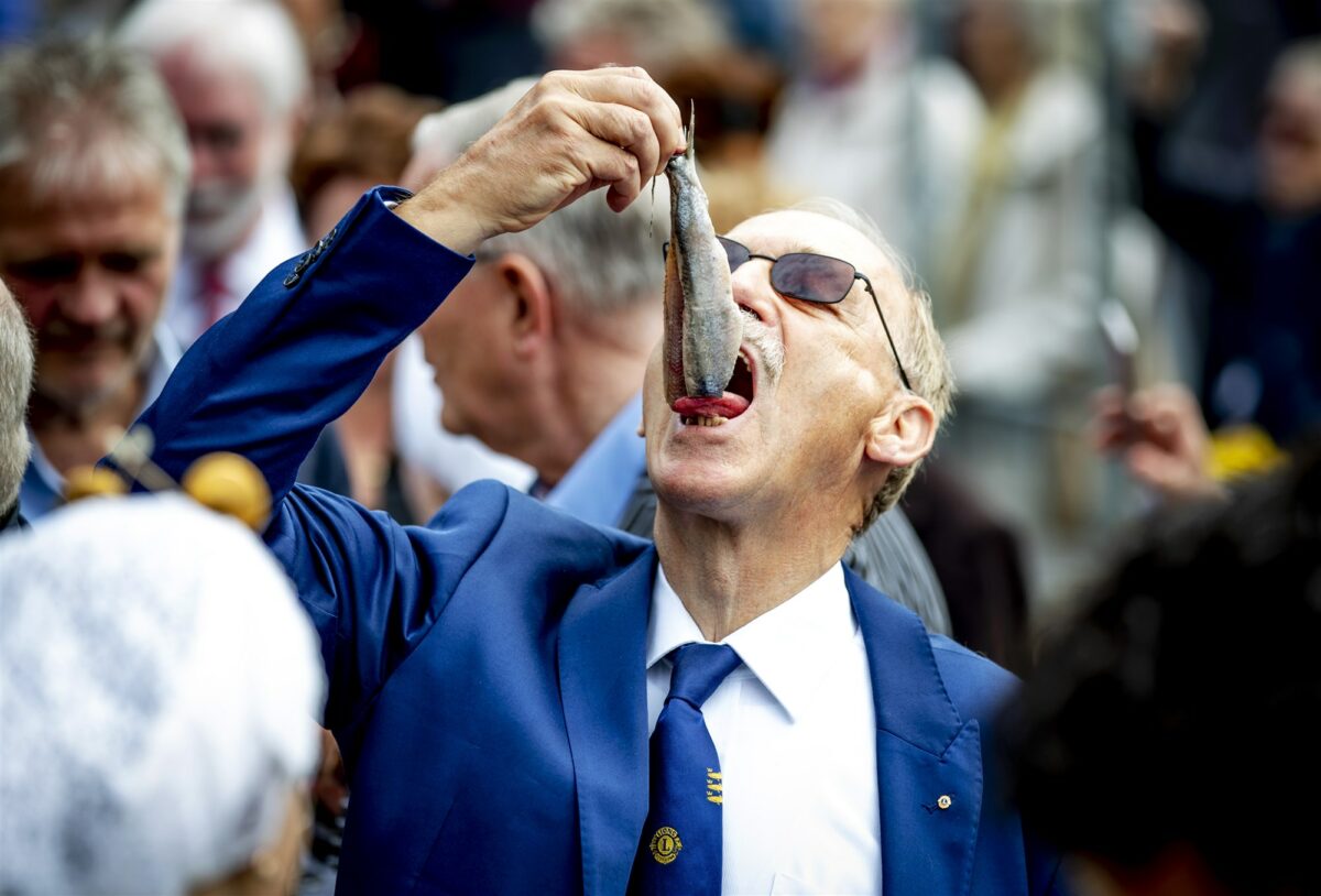 Bergs mysterie: waarom eten we haring op de woensdag na carnaval ...