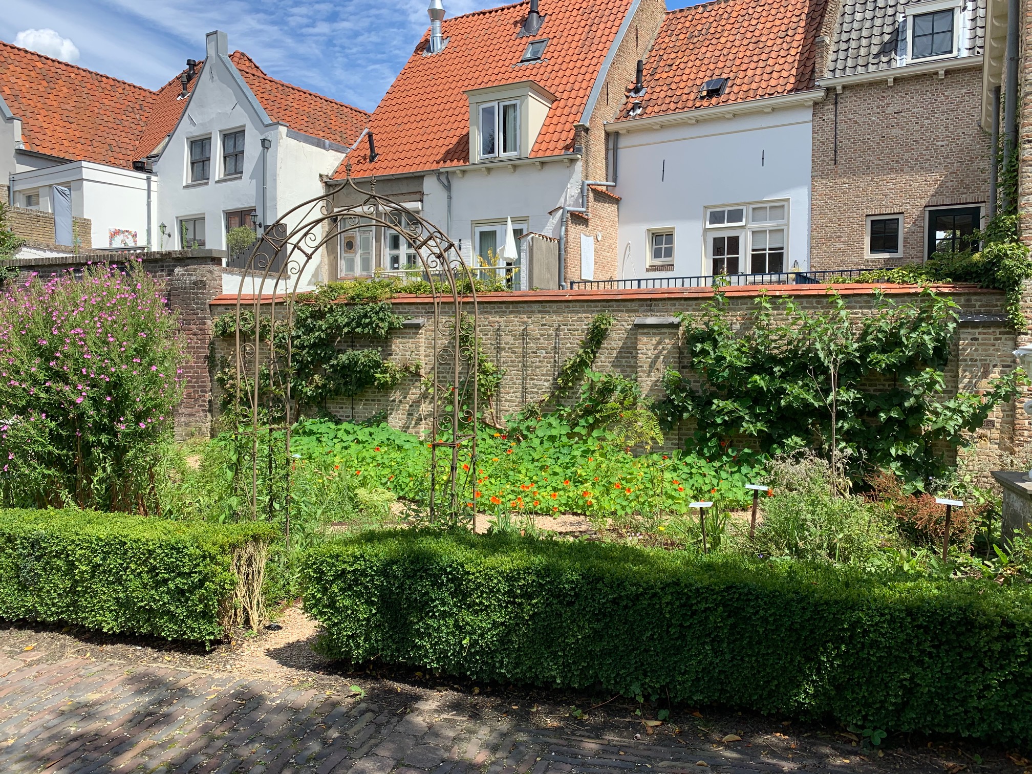 Stadsmoestuin in hartje Bergen op Zoom: hier vind je het groen | indebuurt