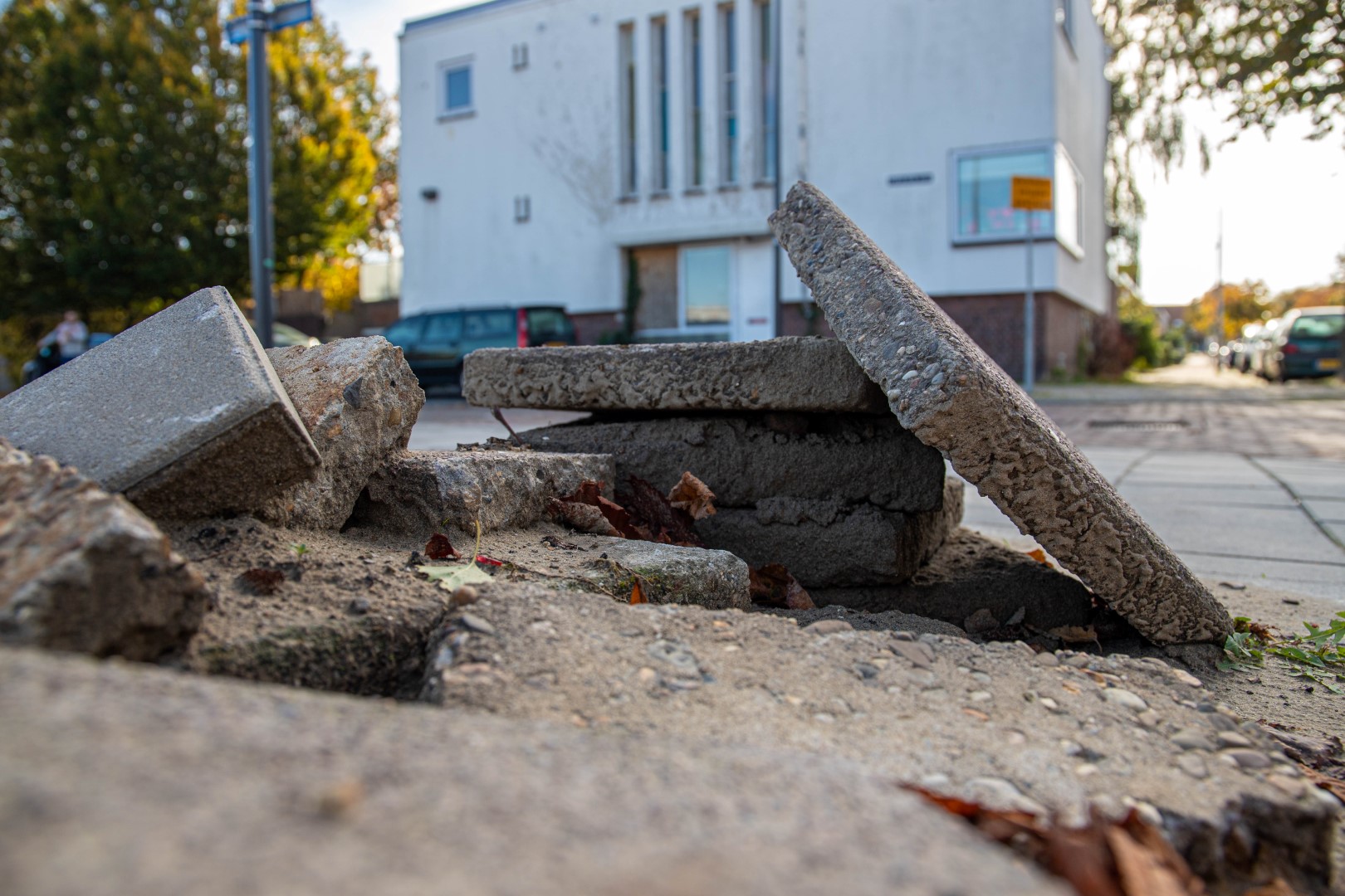 Je Bergse tuin vergroenen? De tegel-taxi neemt gratis je stenen mee - Oozo.nl