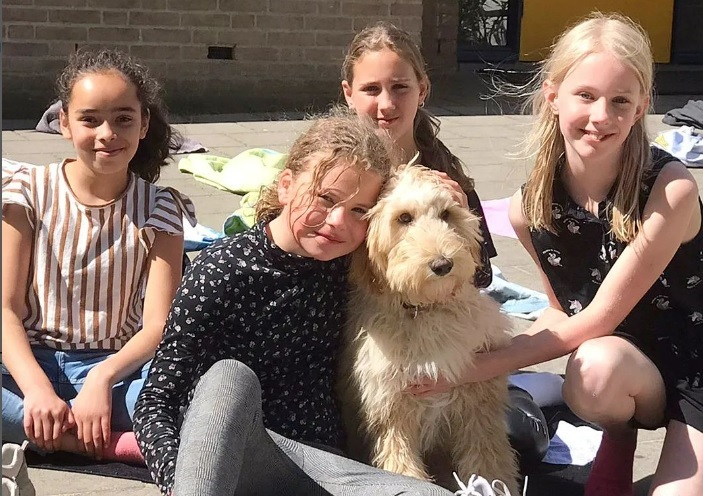 Het jaar van schoolhond Duko: 'In het begin was het wel even spannend'