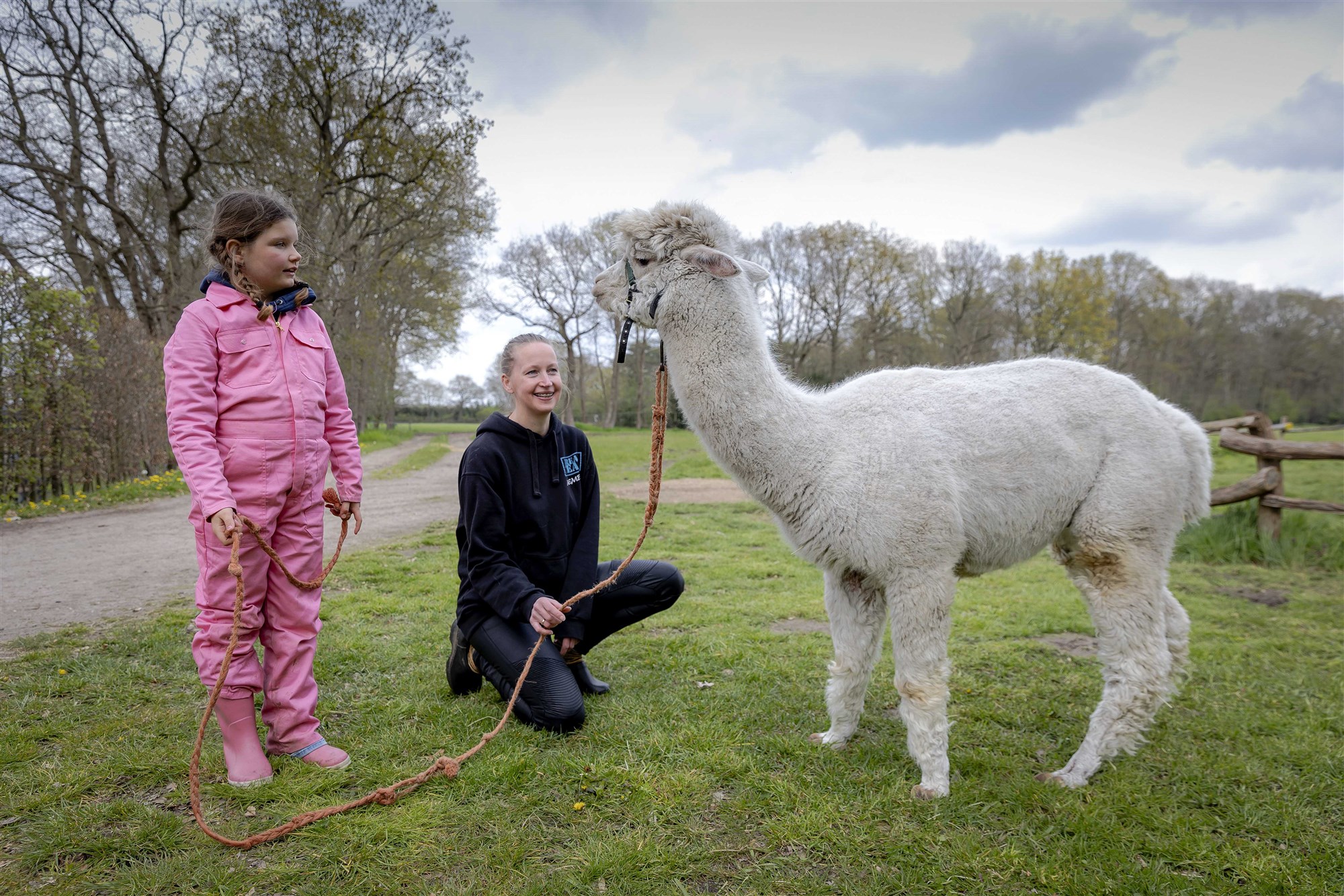 Hier kun je wandelen met alpaca’s in de buurt van Bergen op Zoom