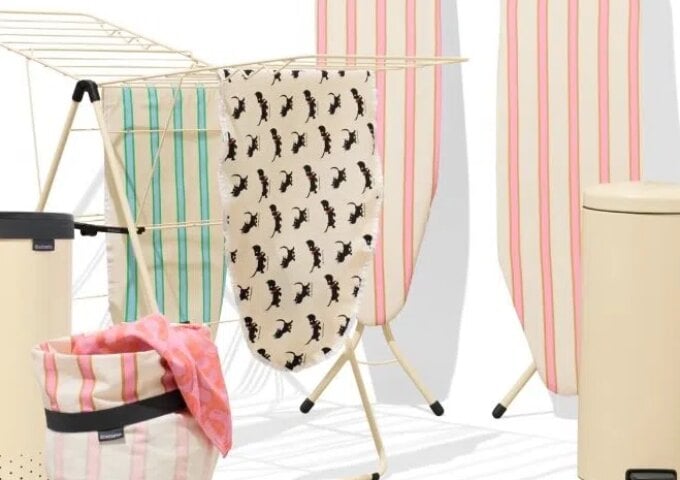 Blauwe bessen € 3,69 - indebuurt Bergen op Zoom