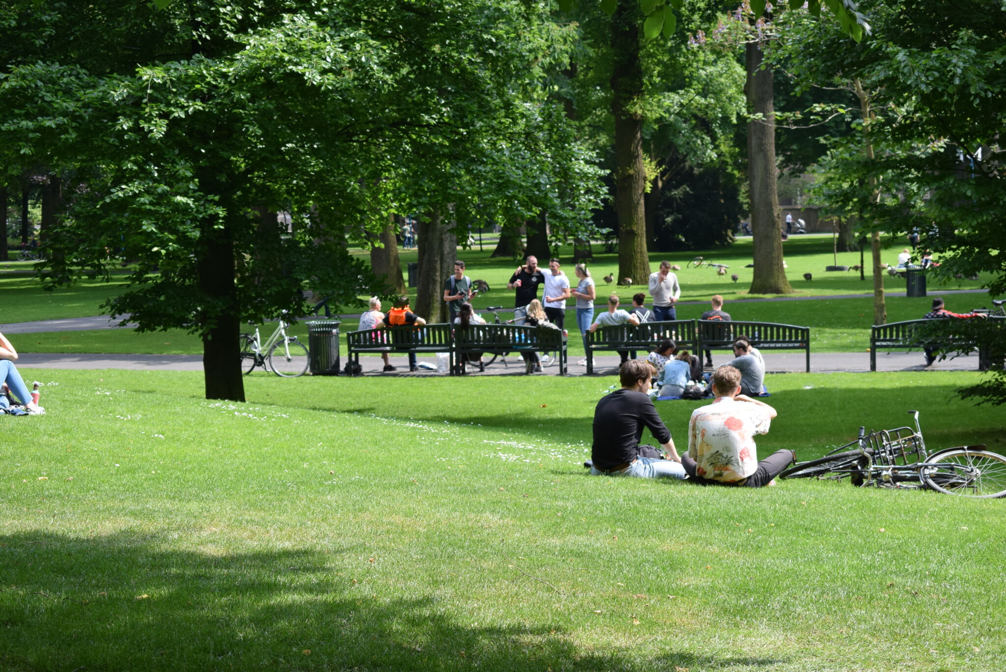 Lekker in de buitenlucht: op deze plekken ga je picknicken in Breda