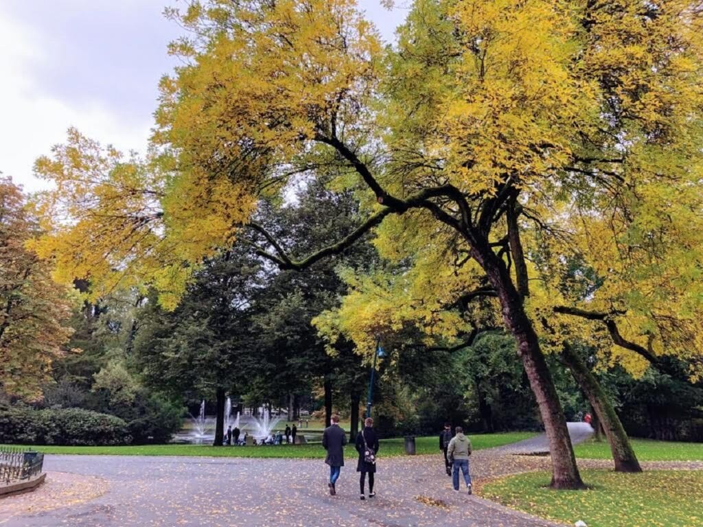 Meer veiligheid en gezelligheid: Park Valkenberg krijgt nieuwe verlichting
