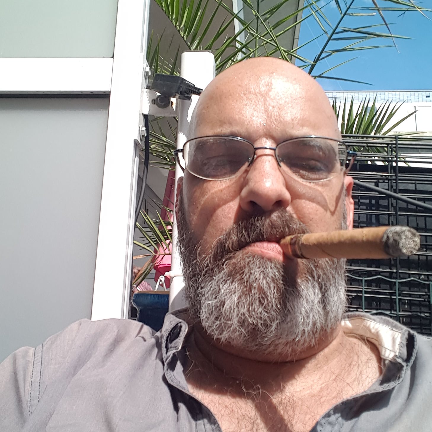 Trots en behaard: check deze Bredase baarden (deel 2) - indebuurt Breda