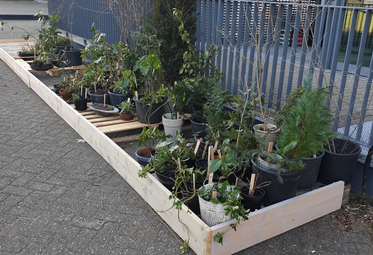 Dode plant of nieuwe plantjes nodig? Hier in Breda kun je terecht ...