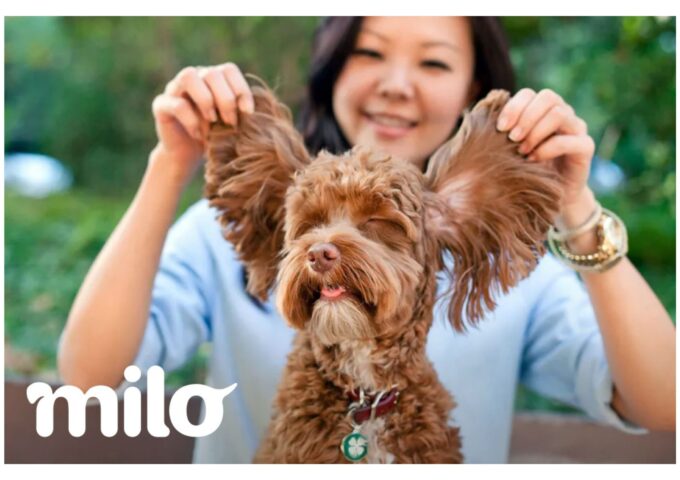 Handig: een overzicht van alle winkels in de binnenstad van Breda