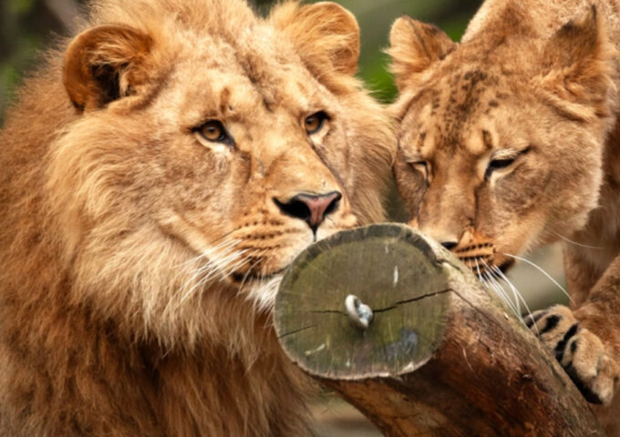 Handig: een overzicht van alle winkels in de binnenstad van Breda