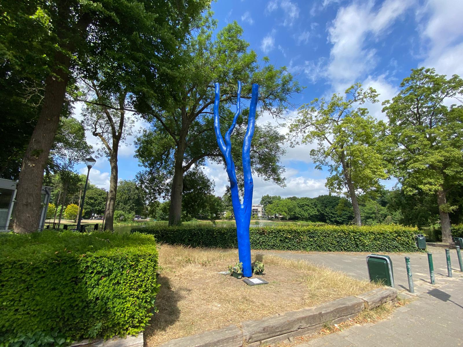 Hé, zie jij die knalblauwe boom in het Wilhelminapark? Dit is waarom ...
