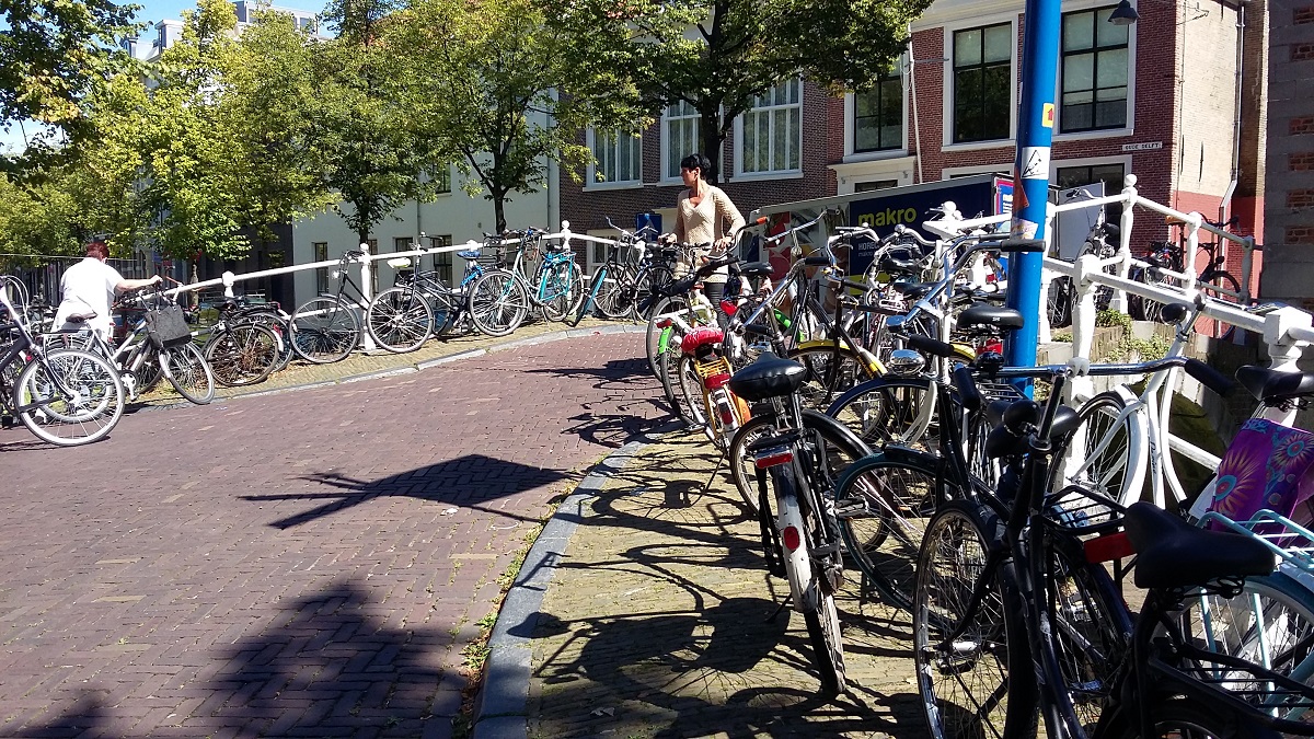 OWee 2017: dit merkt Delft ervan - indebuurt Delft