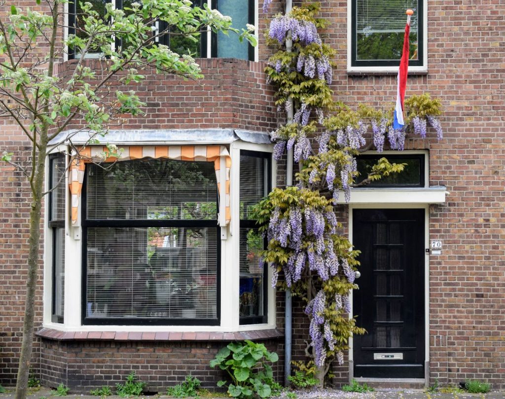 5 redenen waarom wonen in Hof van Delft fantastisch is - indebuurt Delft