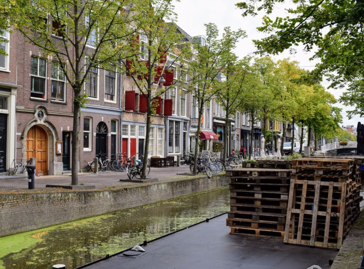 5 tekenen dat de OWee bijna begint - indebuurt Delft