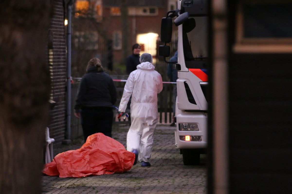 Pony overleden door mishandeling bij kinderboerderij Tanthof ...