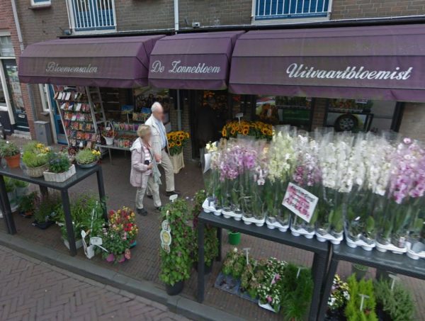 Bloemist in Delft: hier koop je de mooiste bloemen volgens Delftenaren