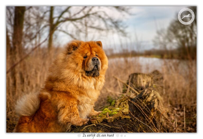 't Stoffig Pakhuis - indebuurt Delft